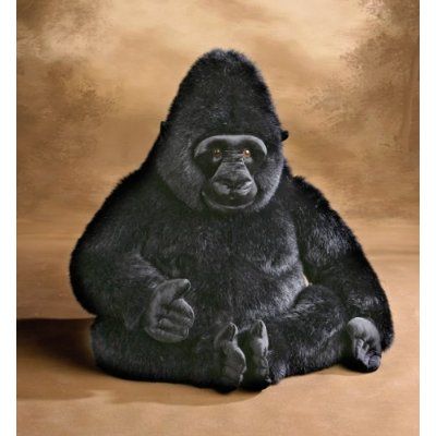 Gunga Gorilla 48 Inch (LOCAL PICK UP ONLY - NO SHIPPING) - Toys & Co.