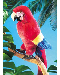 Scarlet Macaw - Toys & Co.