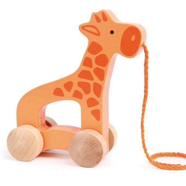 Giraffe - Push & Pull Along - Toys & Co.