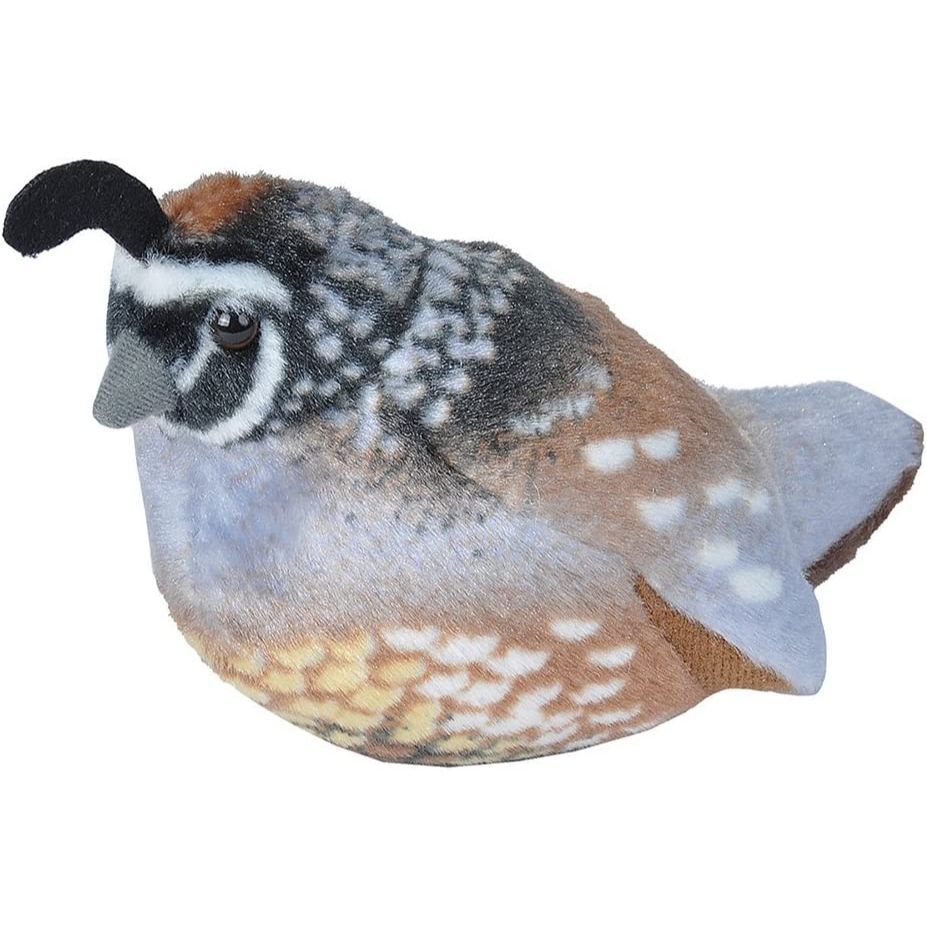 California Quail - Toys & Co.