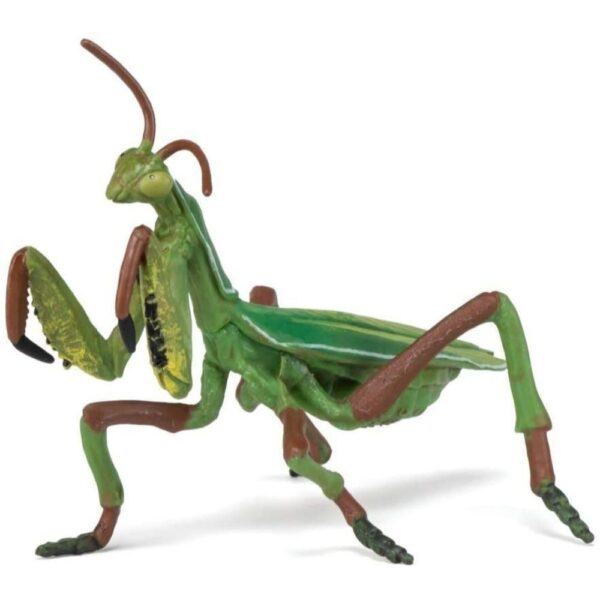 Praying Mantis - Toys & Co.