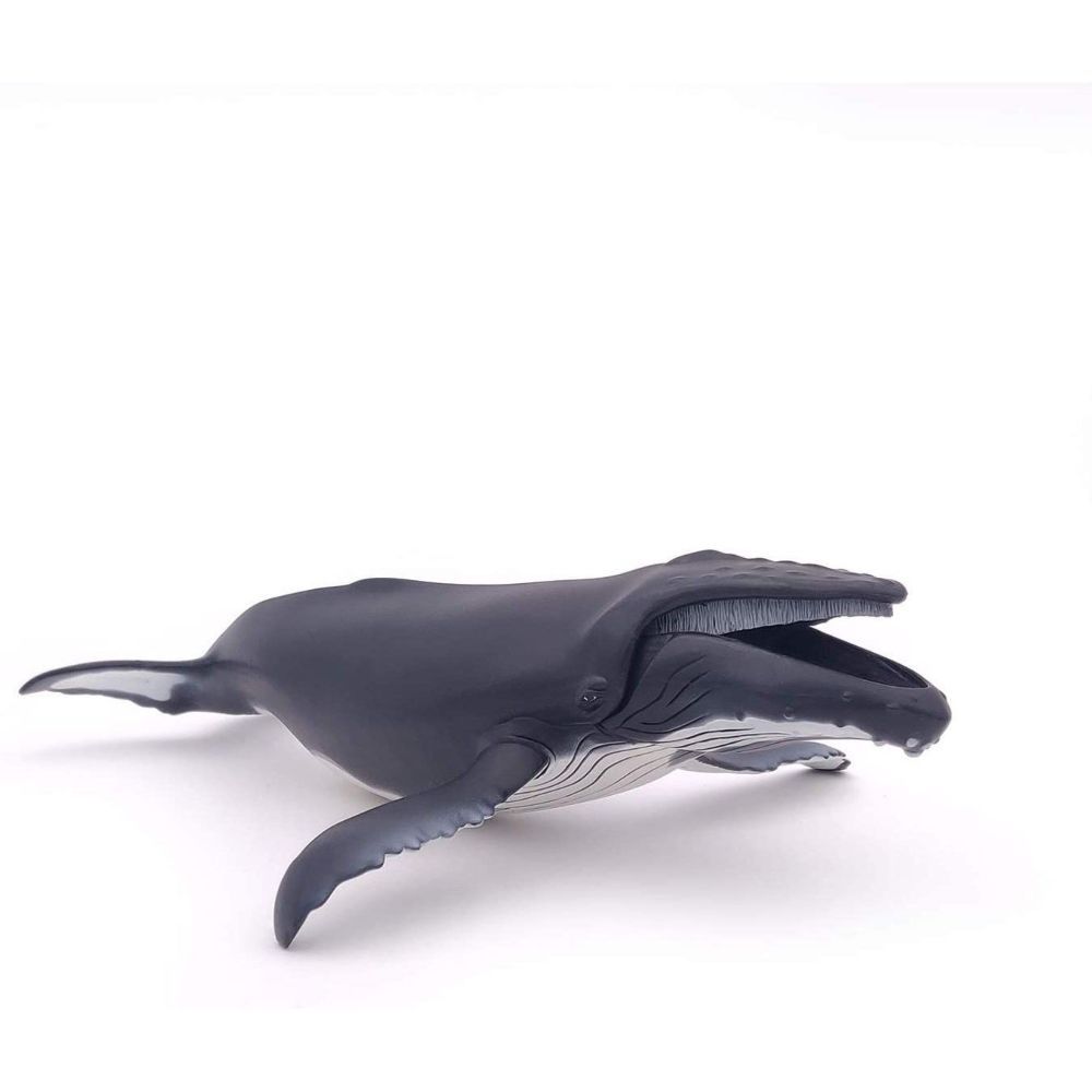 Humpback Whale - Toys & Co.