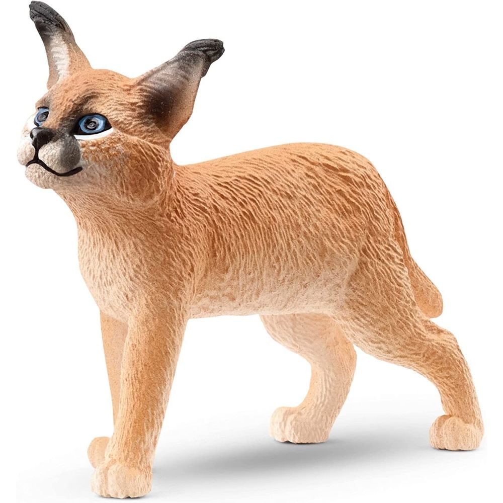 Caracal Cub - Toys & Co.