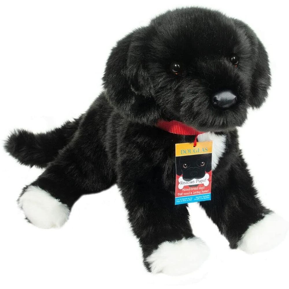 OLIVE BLACK LAB PIT MIX 21" - Toys & Co.