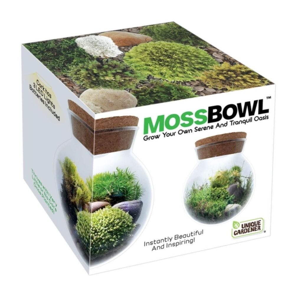Grow Your Own Oasis - Toys & Co.