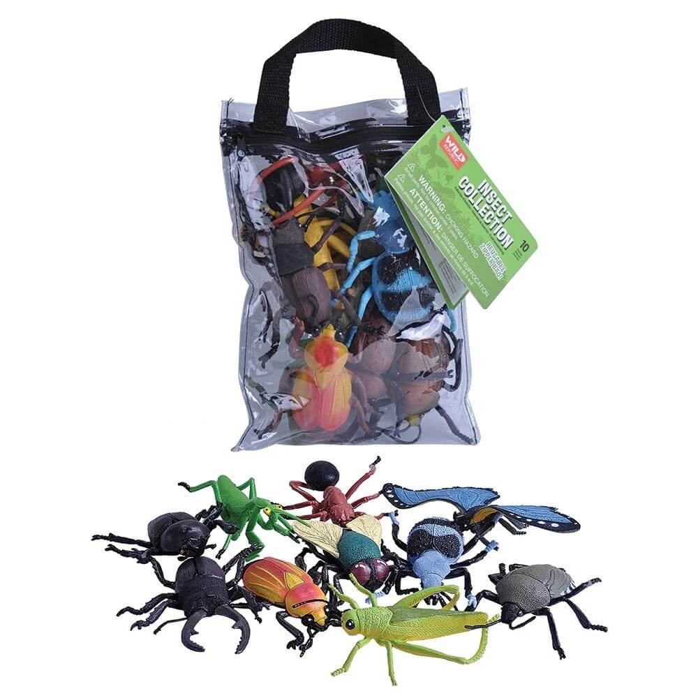 Insect Polybag - Toys & Co.