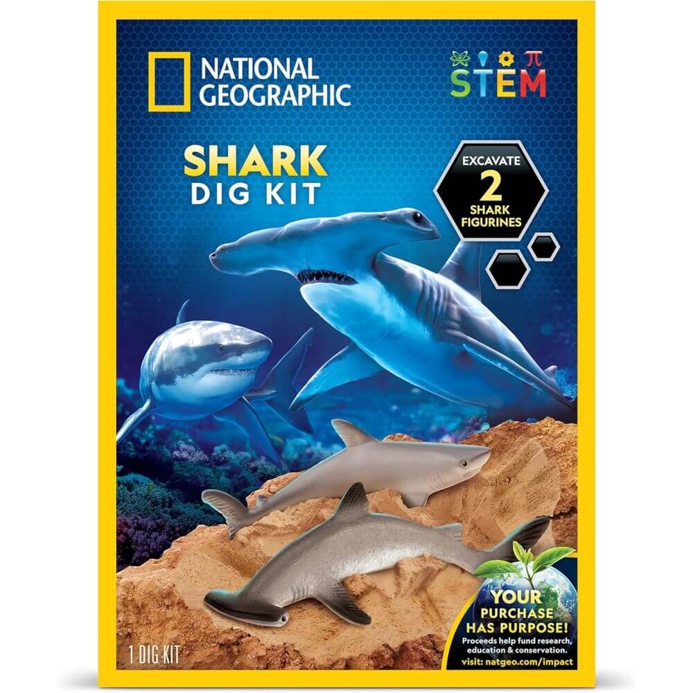 Shark Dig Kit - Toys & Co.